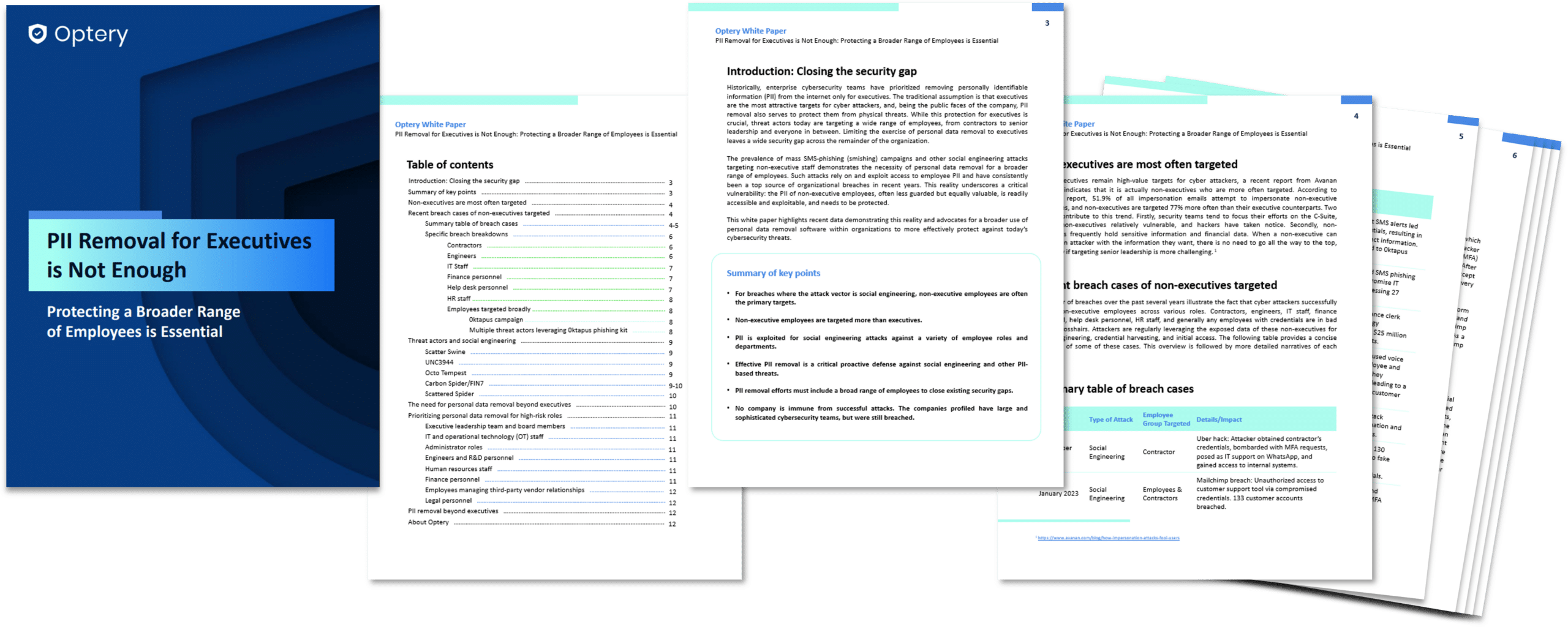 PII Removal for Executives is Not Enough - Optery